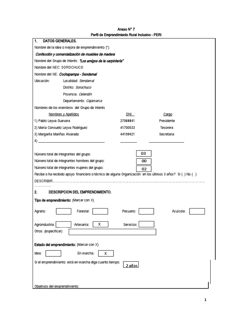 Anexo N 07 Perfil de Emprendimiento Pablo Leyva | PDF | Iniciativa ...
