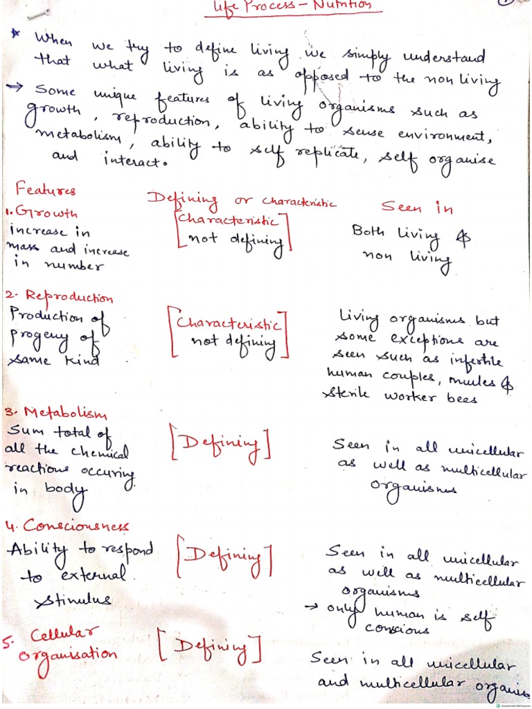 Nutrition in Plants Notes | PDF