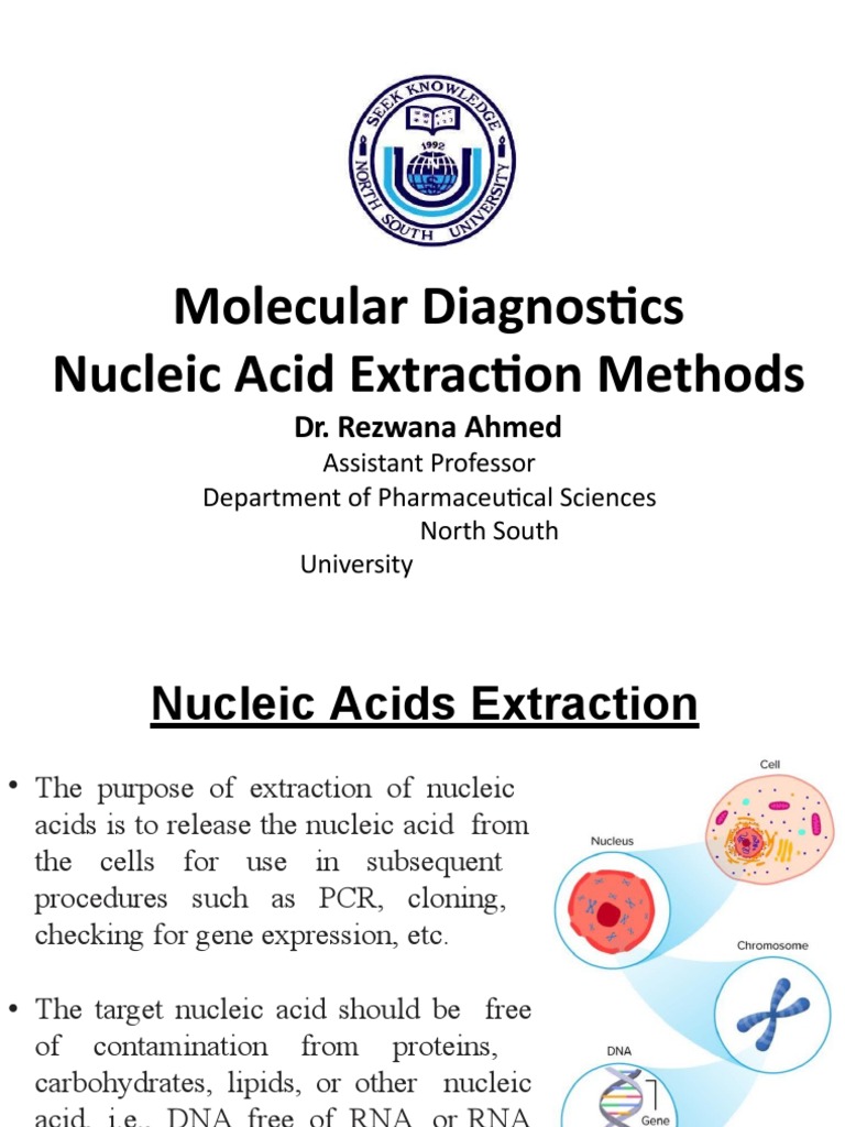 Nucleic Acid Extraction Techniques | PDF