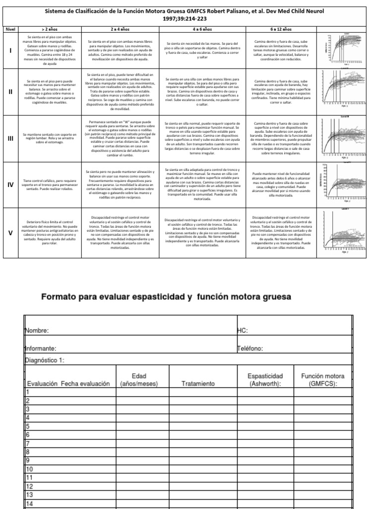 1997 Sistema de Clasificación de la Función Motora Gruesa GMFCS | PDF