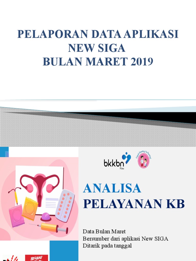 Contoh Laporan Data Siga | PDF