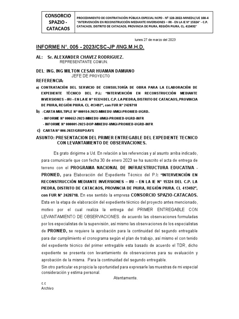 Carta General - Informe de Lev. de Obs | PDF