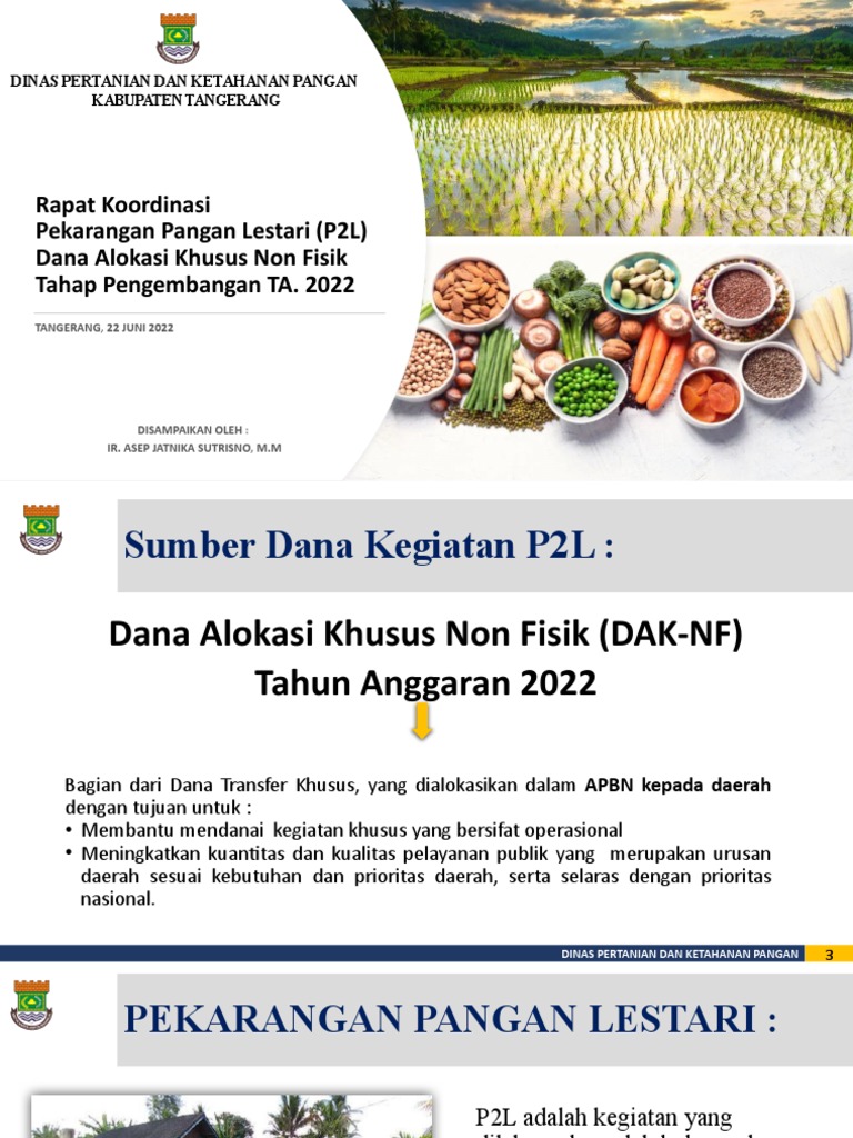 Bahan Paparan P2L DAK 2022 | PDF