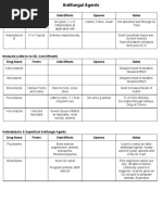 OREO Paragraph Writing Structure Scaffold - YEAR 2 | PDF