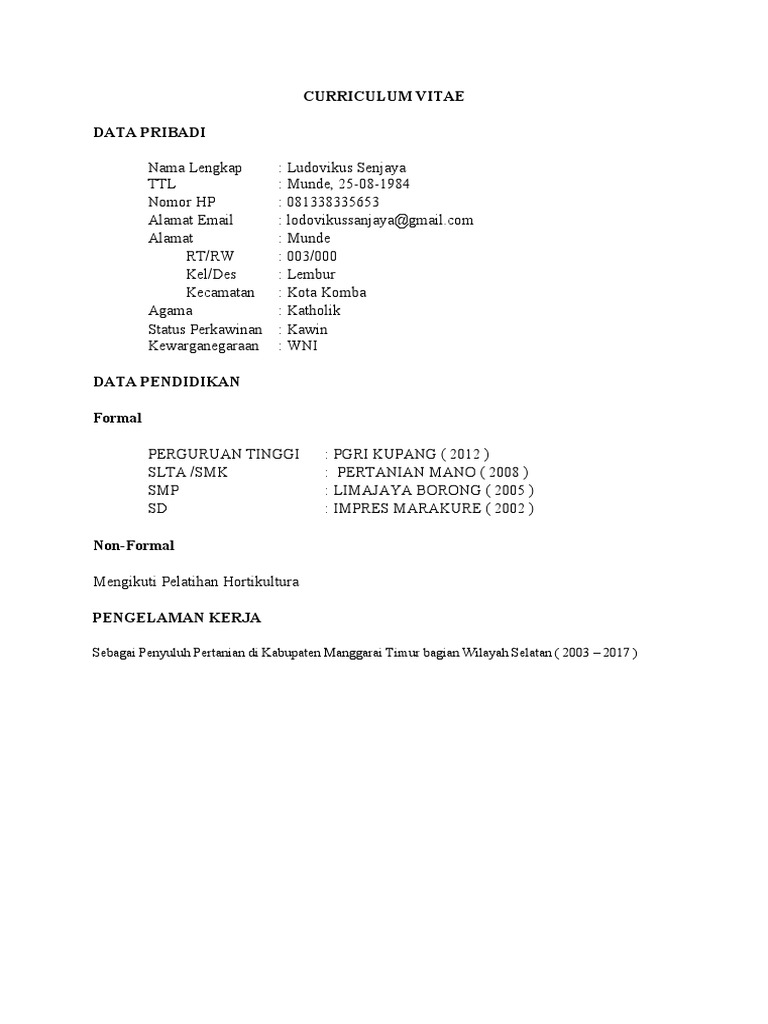 Curriculum Vitae Data Pribadi | PDF