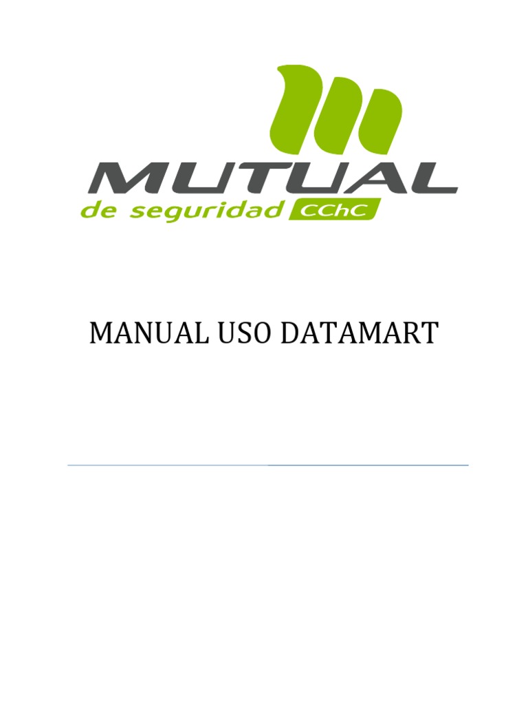 Manual Uso Datamart | PDF | Informática | Software