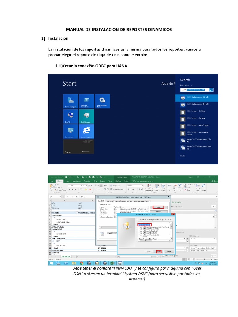 Instalación de Reportes Dinámicos | PDF