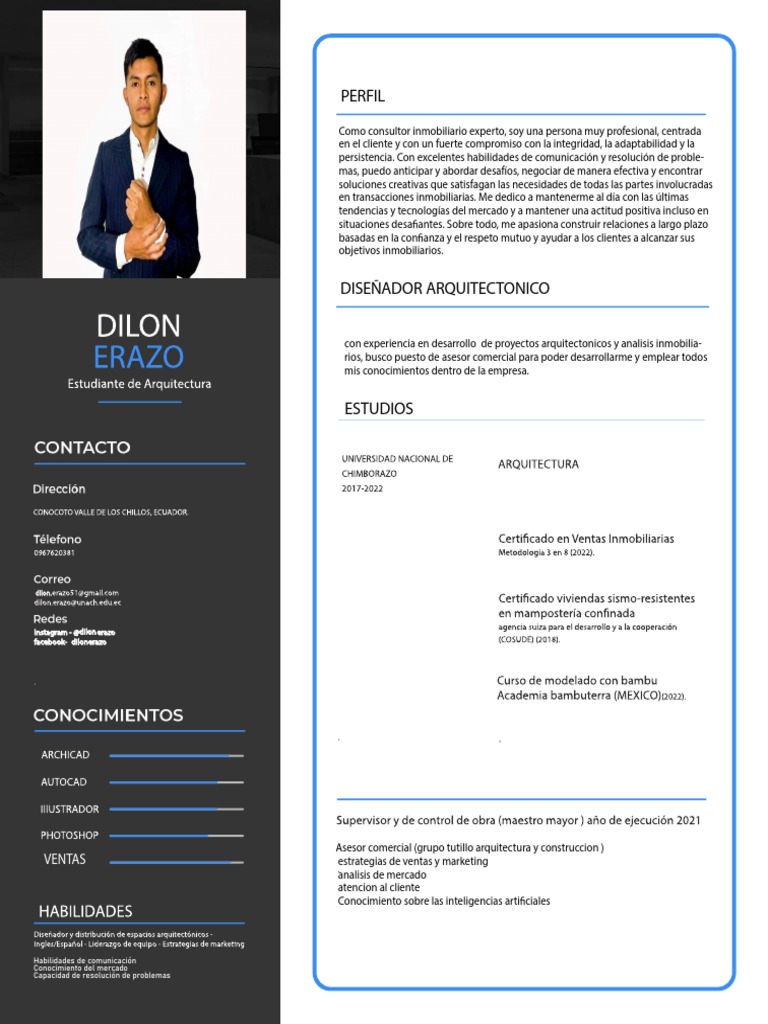 Curriculum DILON Asesor Inmobiliario | PDF
