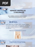 10 Clasificación de Las Hernias | PDF | Abdomen | Pelvis