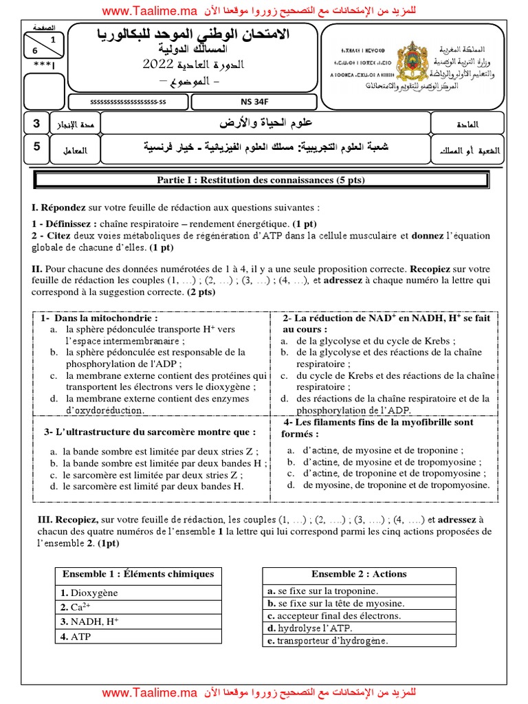 Bac 2022 : Examen SVT Normal PC | PDF | Adénosine triphosphate | Ribosome