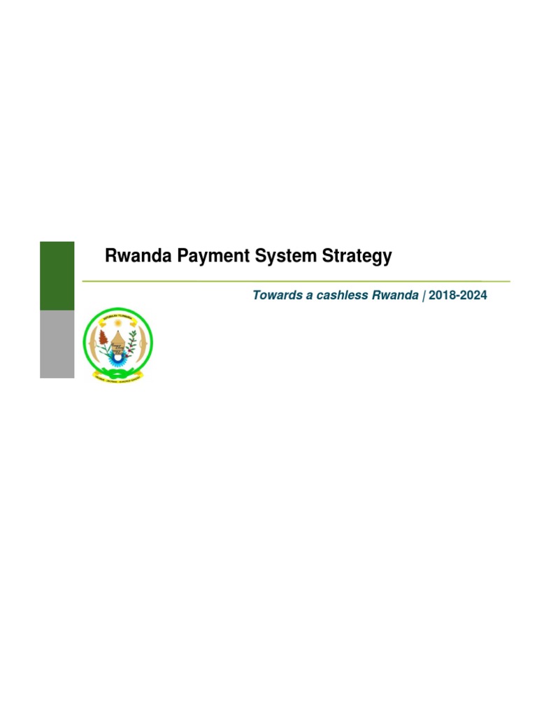 Vison and Strategy RNPS 2018-2024 | PDF