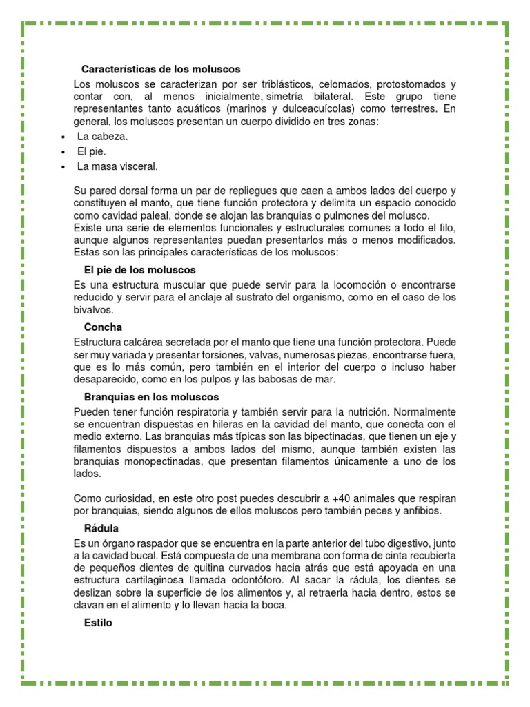 Características de Los Moluscos | PDF | Moluscos | Branquia