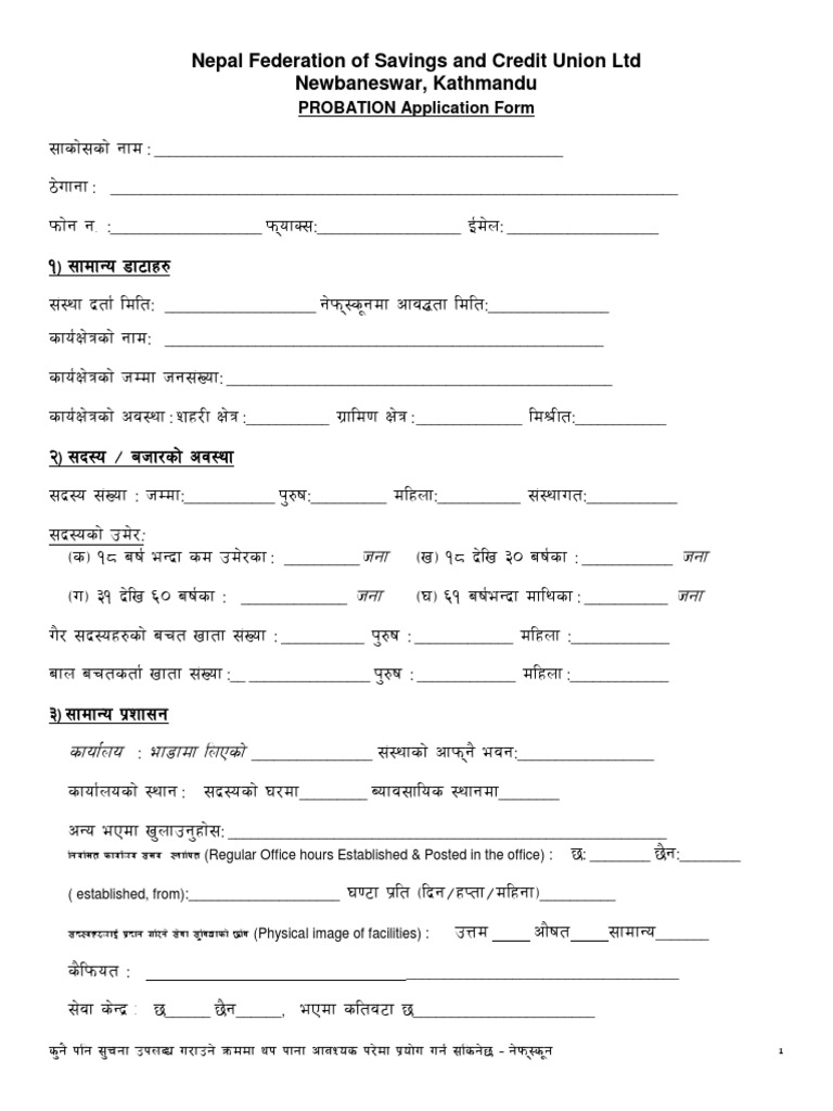 Nefscun Probation Application Form | PDF | Money