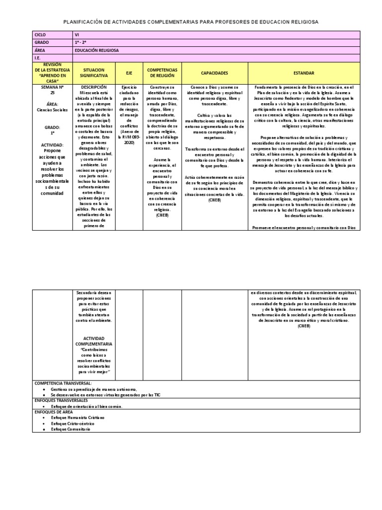 Planificación de Actividad Complementaria - Elsa Peña Carrasco | PDF ...