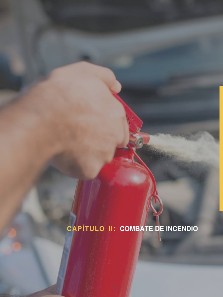 Material de Estudio - SEGURIDAD EN LA CONDUCCION Y COMBATE DE INCENDIO ...
