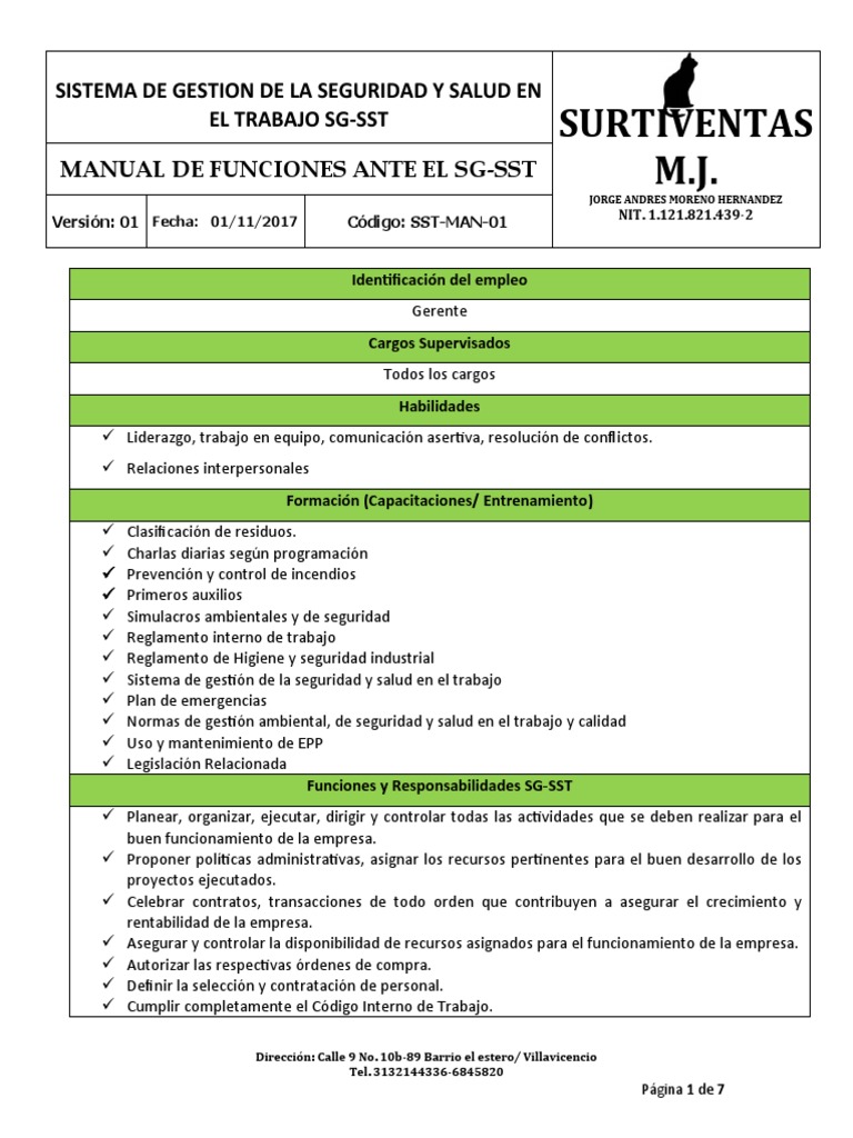 Sst-Man-01 Manual de Funciones Ante El SG-SST | Descargar gratis PDF | Planificación