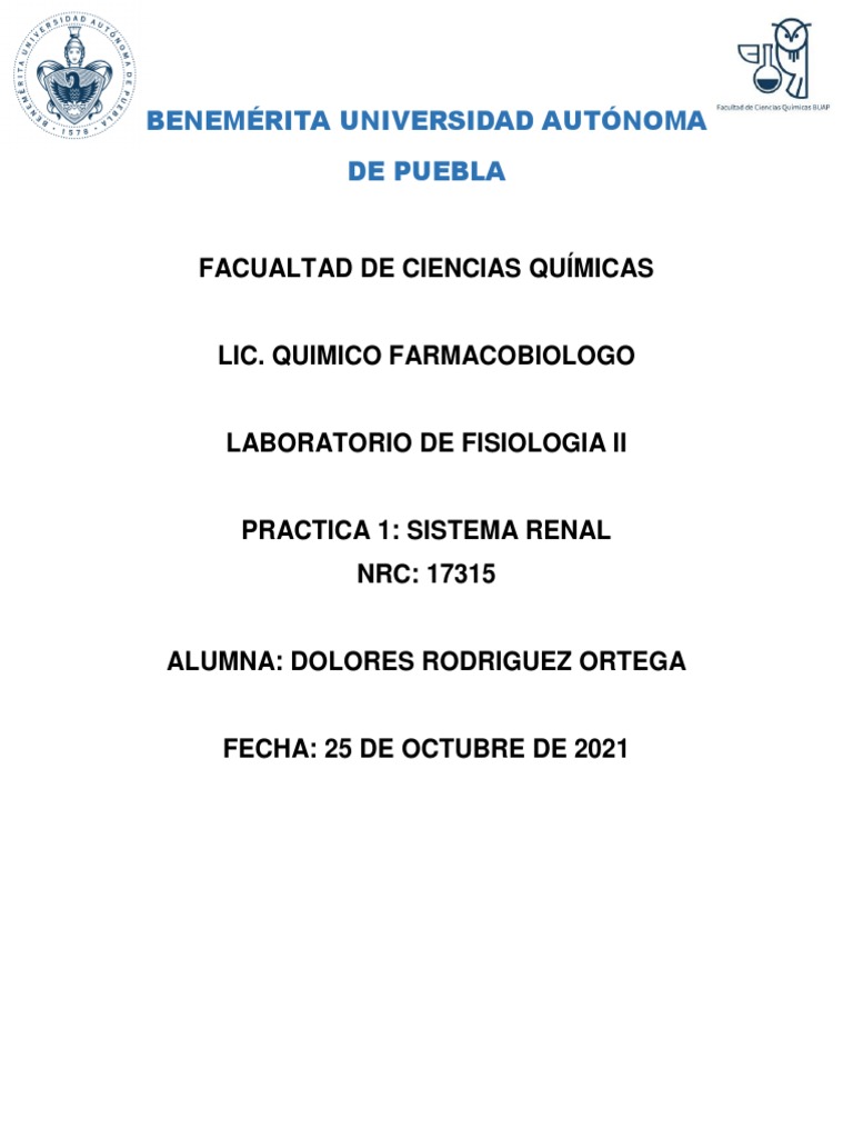 Practica 1 (Correccion) | PDF | Órgano (anatomía) | Medicina CLINICA Practica 1 (Correccion) | PDF | Órgano (anatomía) | Medicina CLINICA