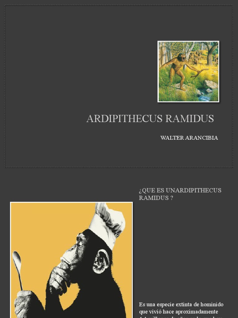 Ardipithecus ramidus: Descubrimiento y Características | PDF