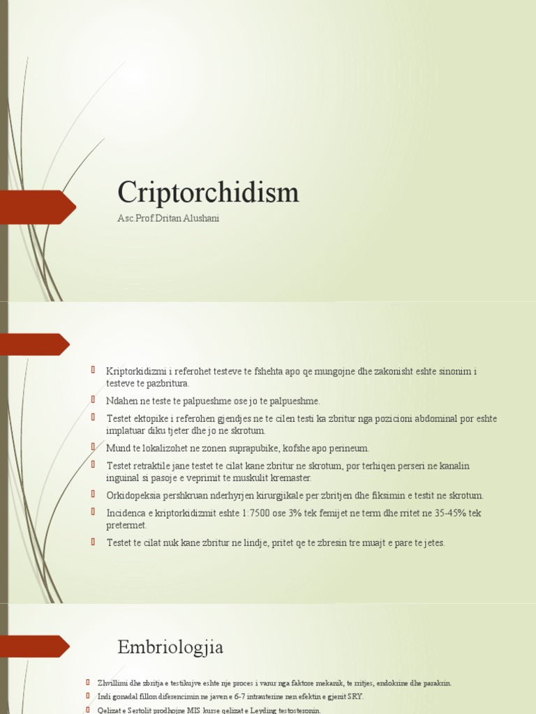 Cryptorchidism | PDF