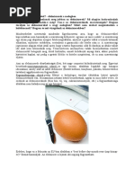 Hűtő Ellenőrző Lap | PDF