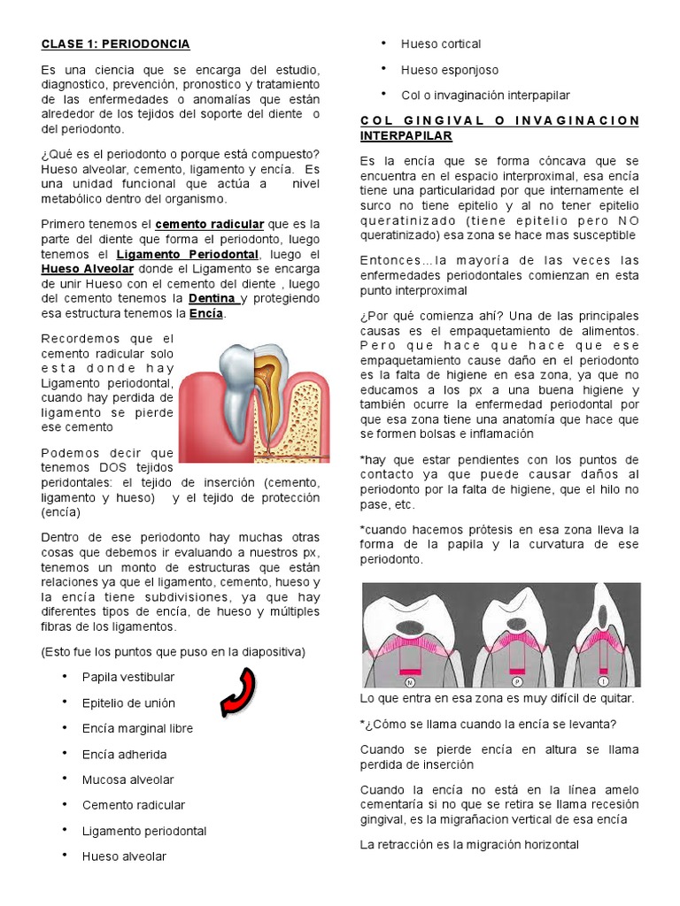 Clase 1 Que Es La Periodoncia | PDF | Anatomía | Ramas de Odontología