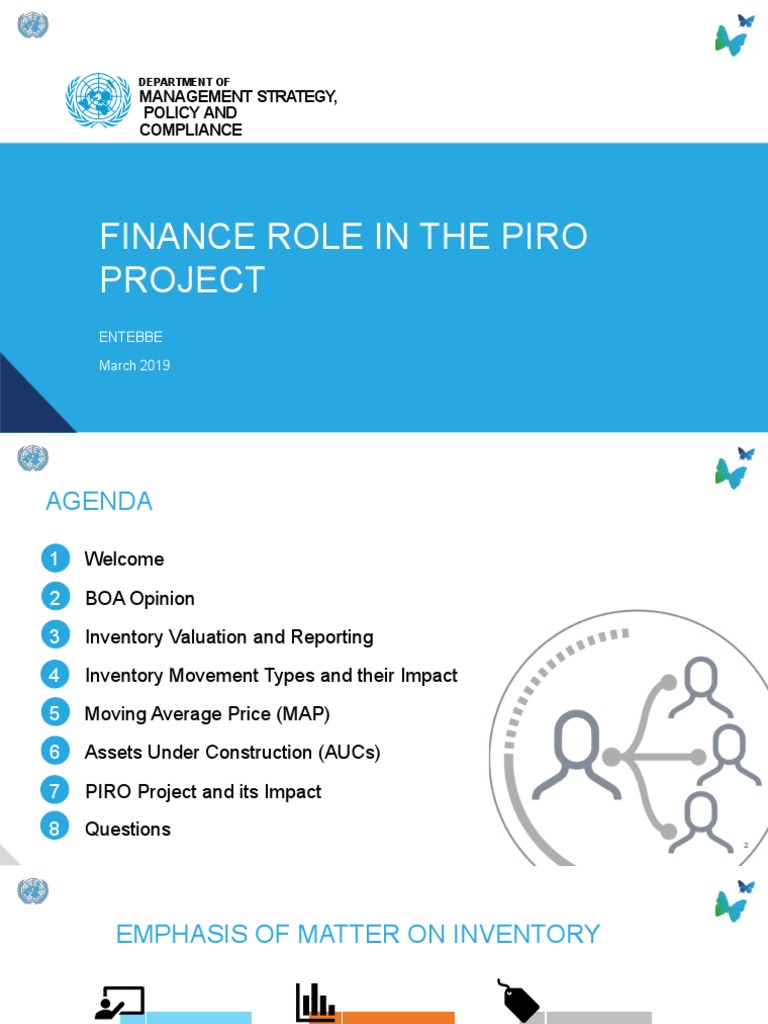 Finance Role in The PIRO Project | PDF