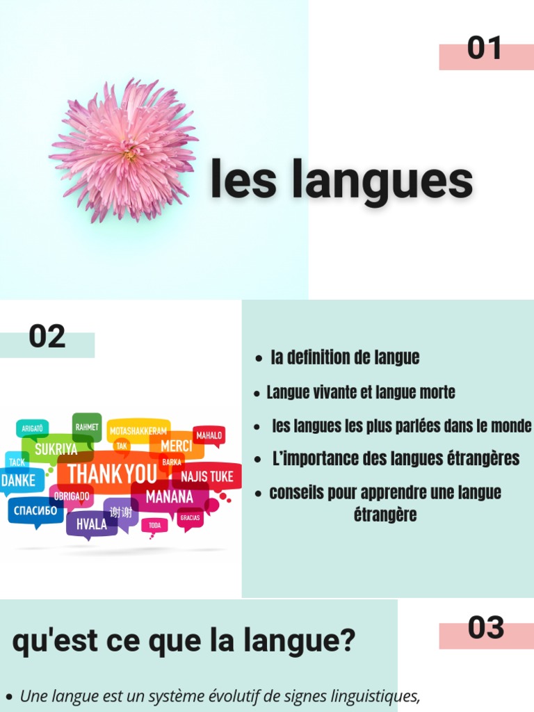 Définition et importance des langues | PDF | Langue anglaise | Chinois ...