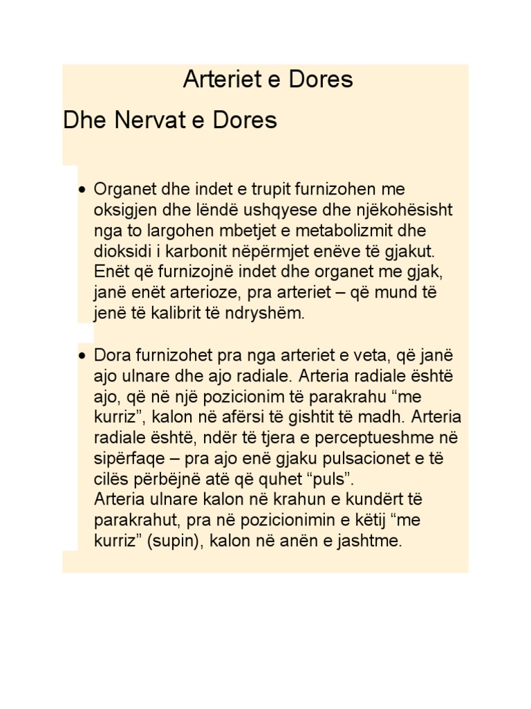 Arteriet Dhe Nervat e Dores | PDF