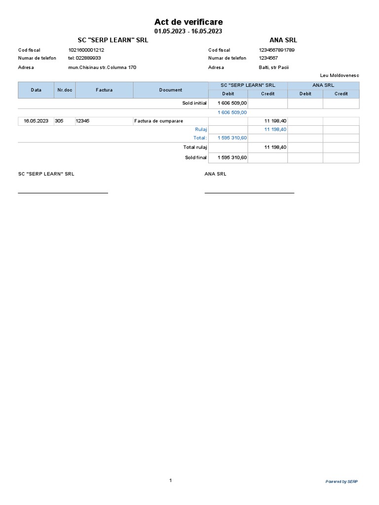 Act de Verificare | PDF