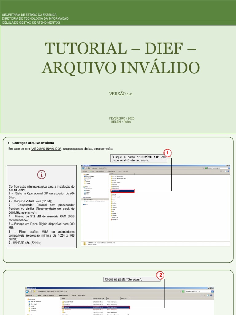 Correção de Arquivo DIEF Inválido | PDF