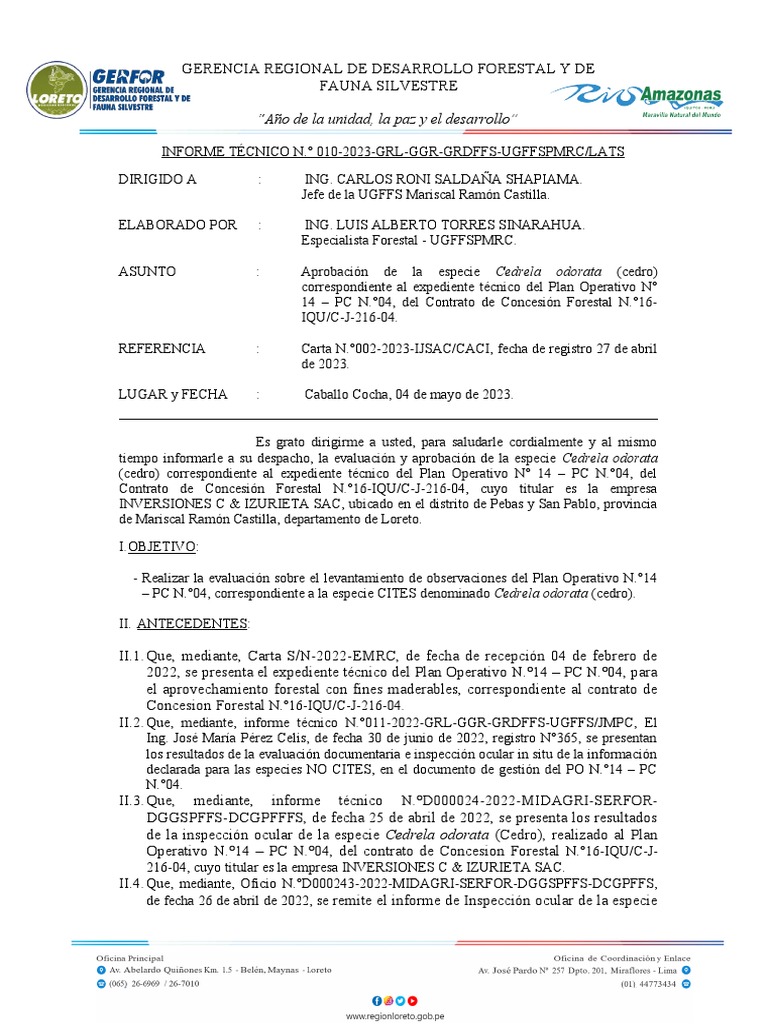 Informe N.°010-Izurieta | PDF