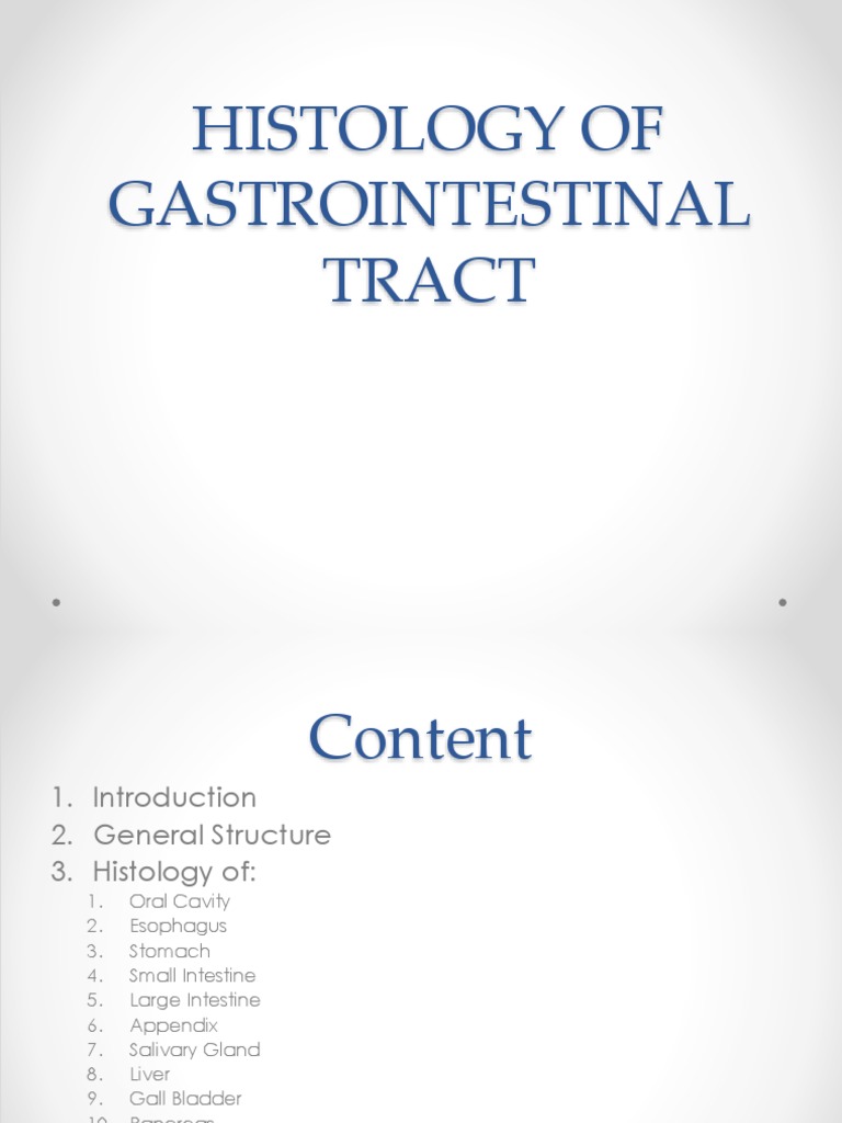 Histology of Git | PDF | Stomach | Epithelium