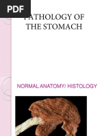 Grossing Guidelines for Pathology Specimens | PDF | Pathology | Biopsy