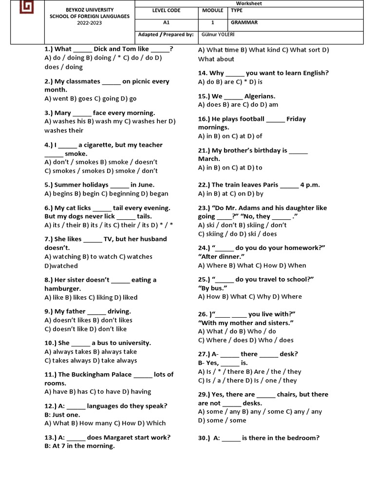 A1 Worksheet (Test) | PDF