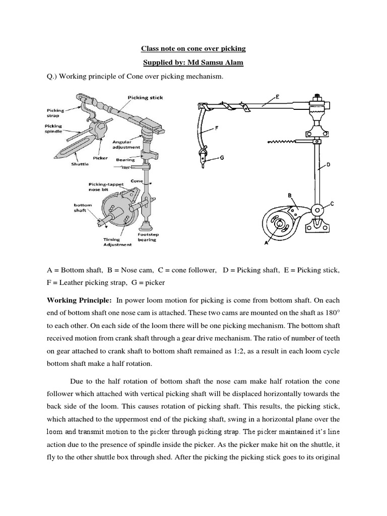 Cone over picking | PDF