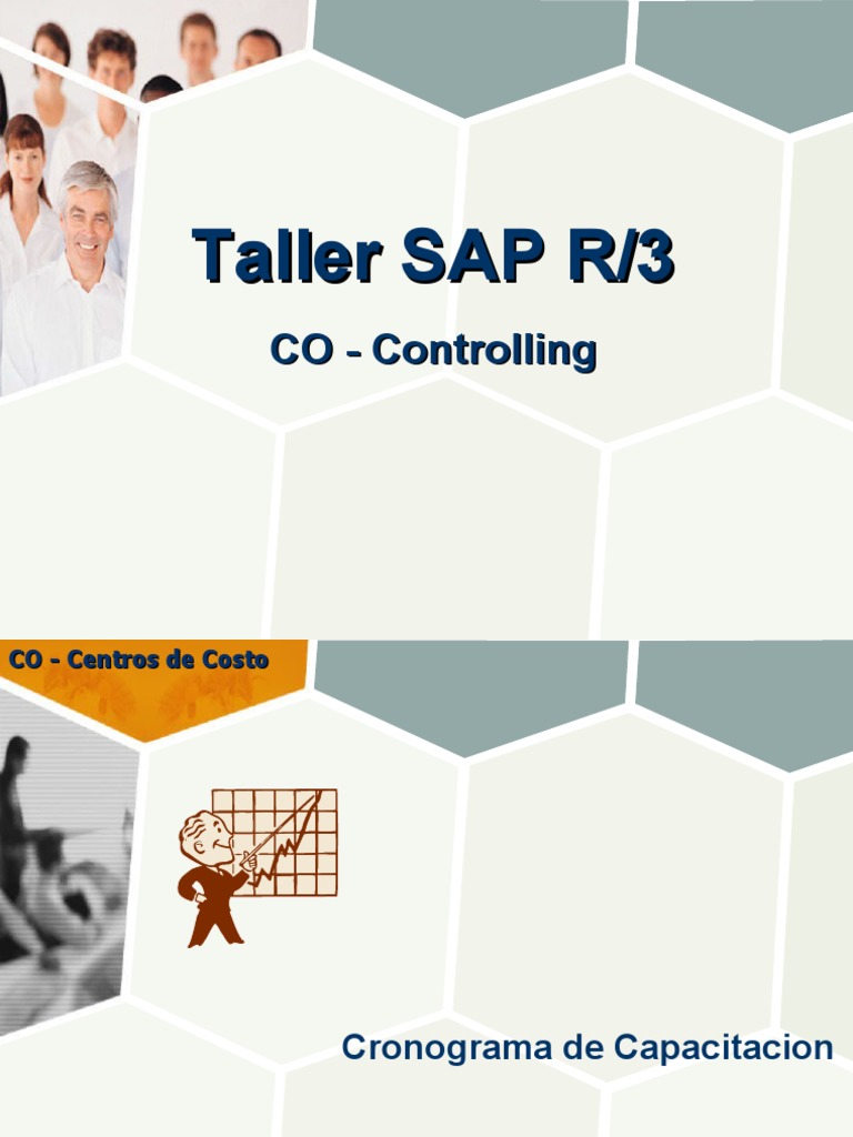 Co Sap | PDF | Planificación | Costo