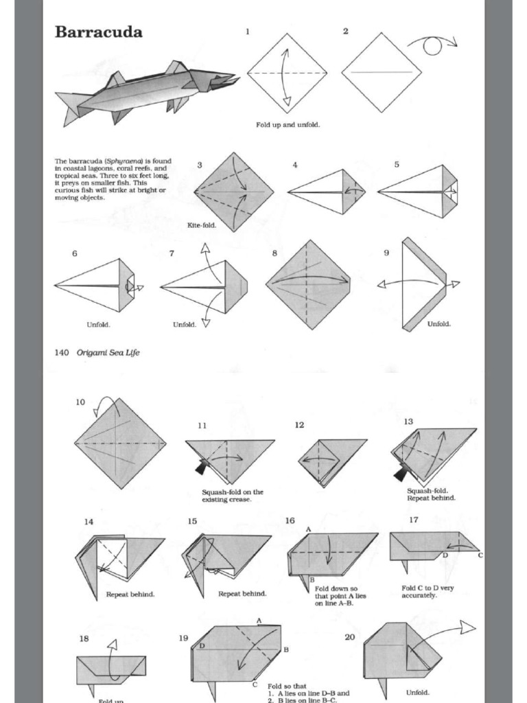 Pez Barracuda | PDF