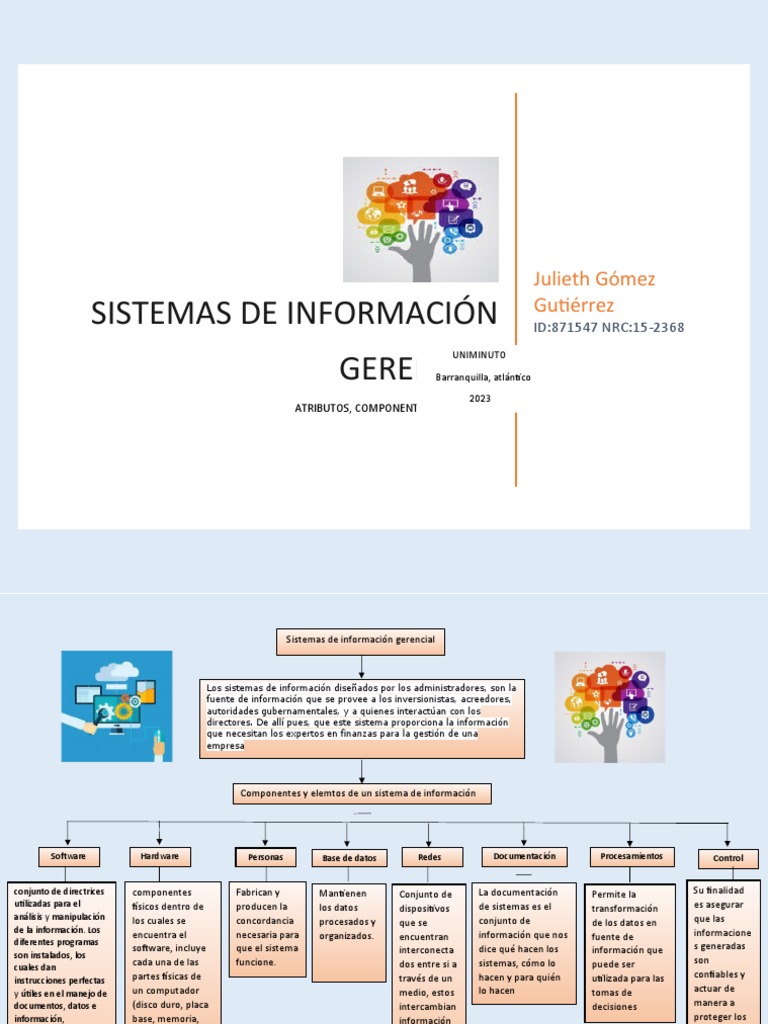 Actividad 1 Sistemas de Informacion | PDF
