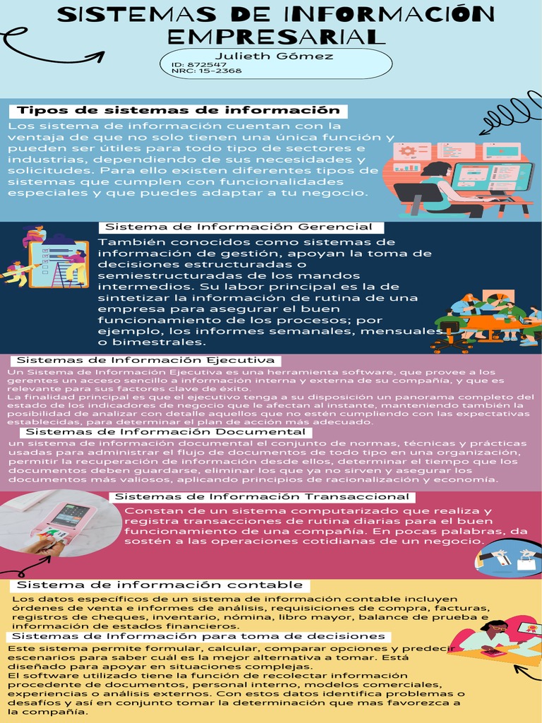 Infografía Sistemas de Informacion | PDF