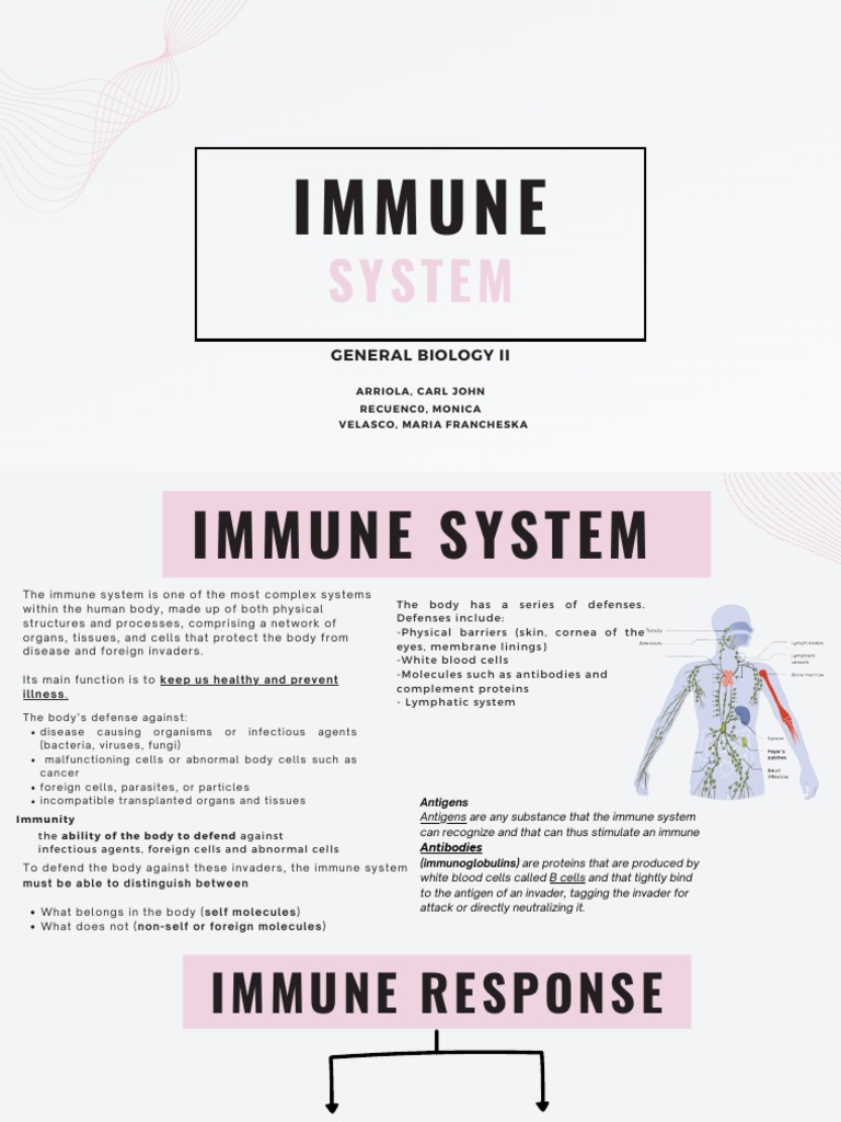 Immune System PPT Biology | PDF