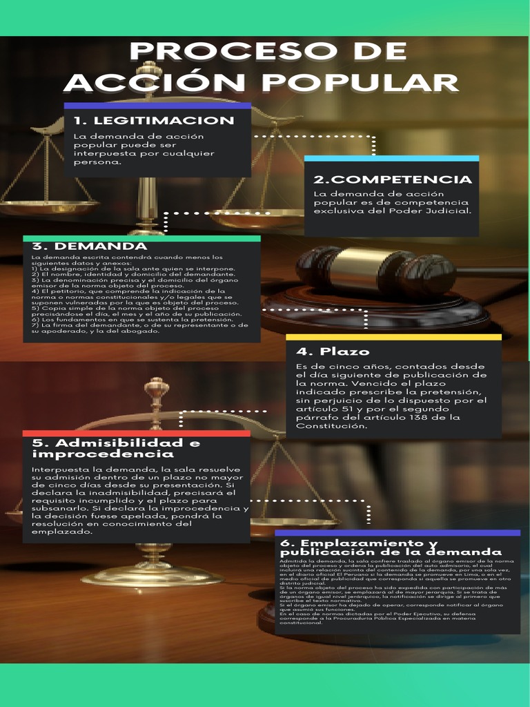 Proceso de Accion Popular | PDF | Demanda judicial | Gobernancia