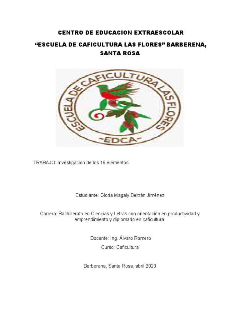 Elementos Del Café | PDF | Hoja | Oxígeno