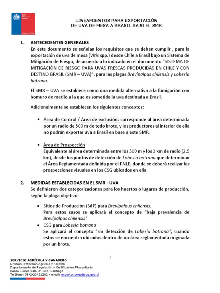 Lineamientos Uva Brasil Bajo SMR | PDF