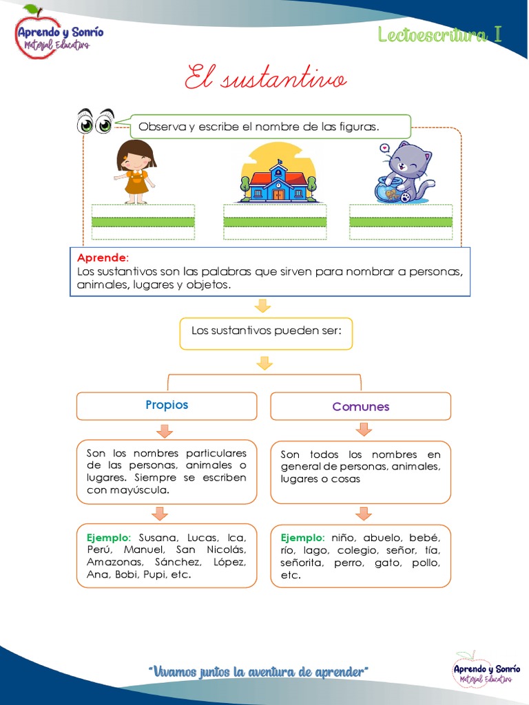 Sustantivos y Artículos: Guía Básica | PDF