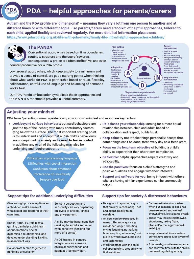 Effective Strategies for PDA Support | PDF | Anxiety | Perception