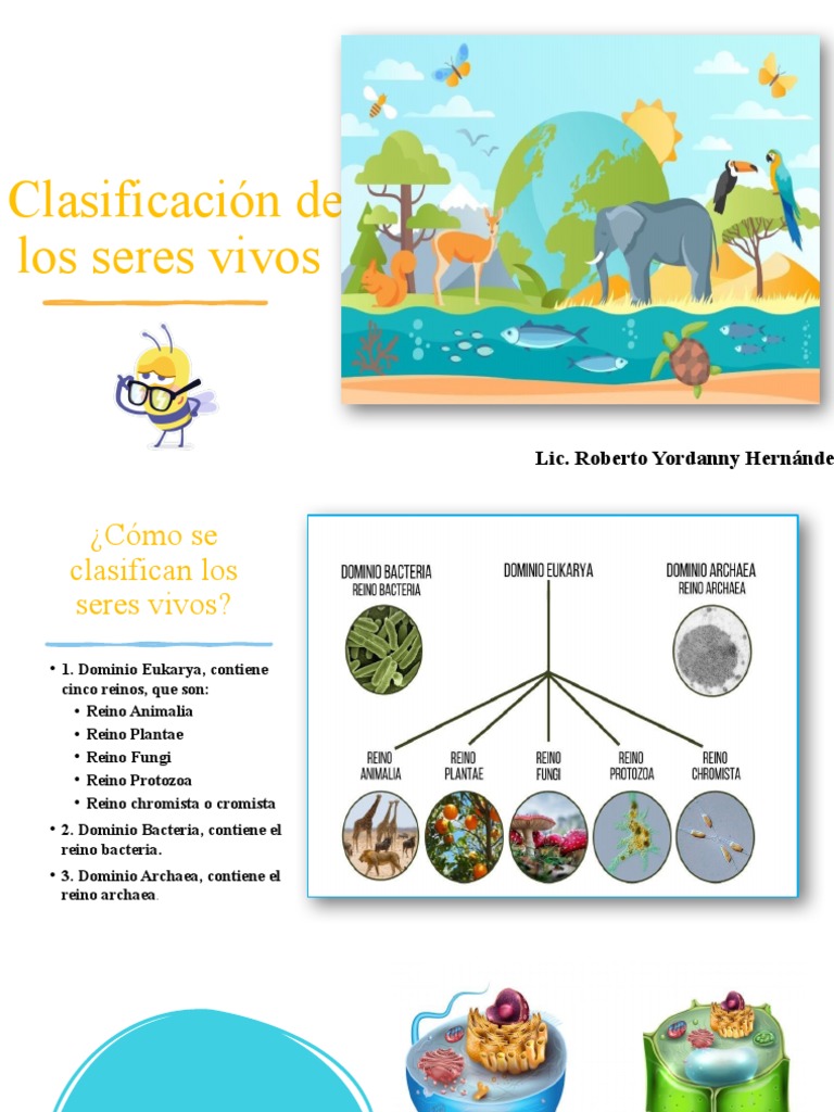 Clasificación de Los Seres Vivos REINOS | PDF