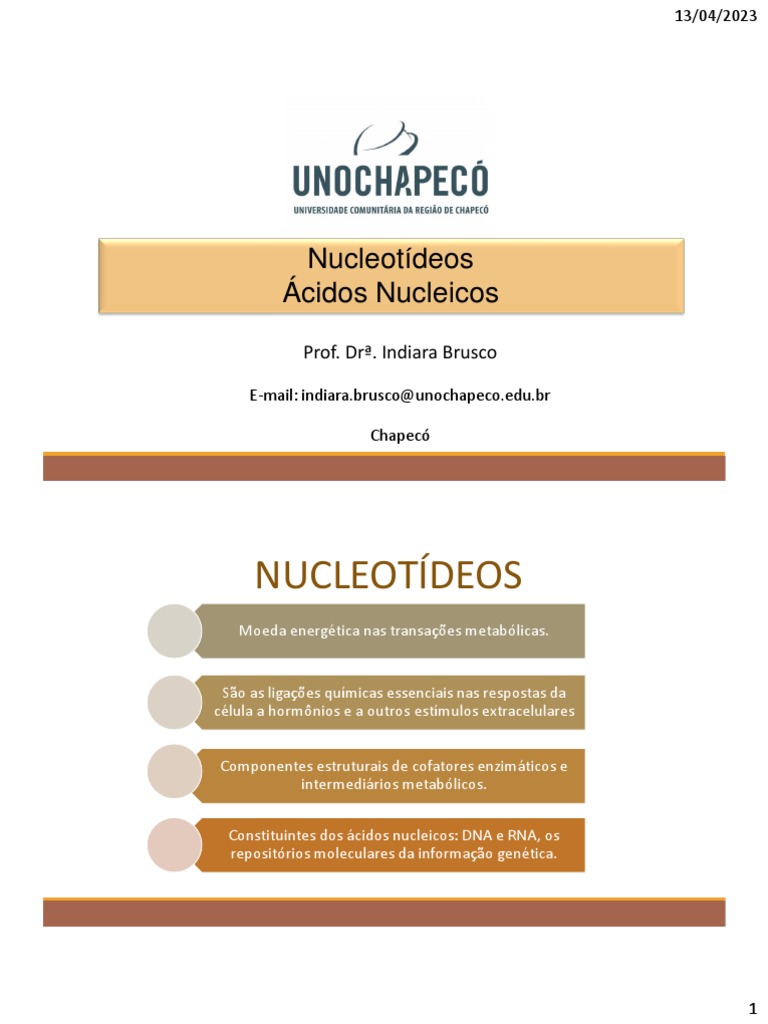 Aula 6 Nucleotideos e Acidos Nucleicos | PDF