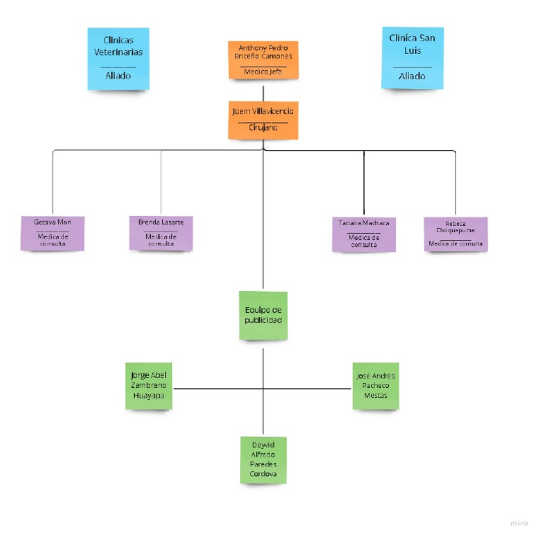 Organigrama de Una Veterinaria | PDF