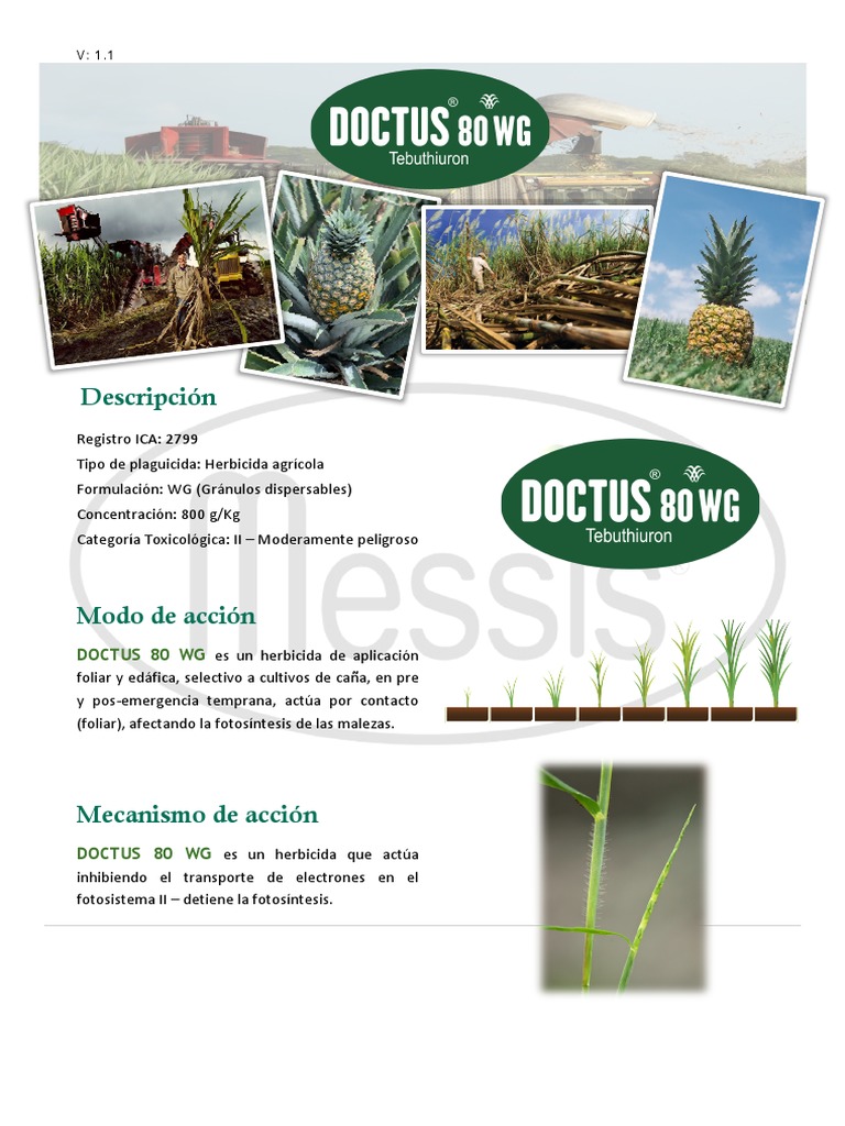 Ficha Técnica DOCTUS 80 WG V. 1 | PDF | Suelo | Solubilidad