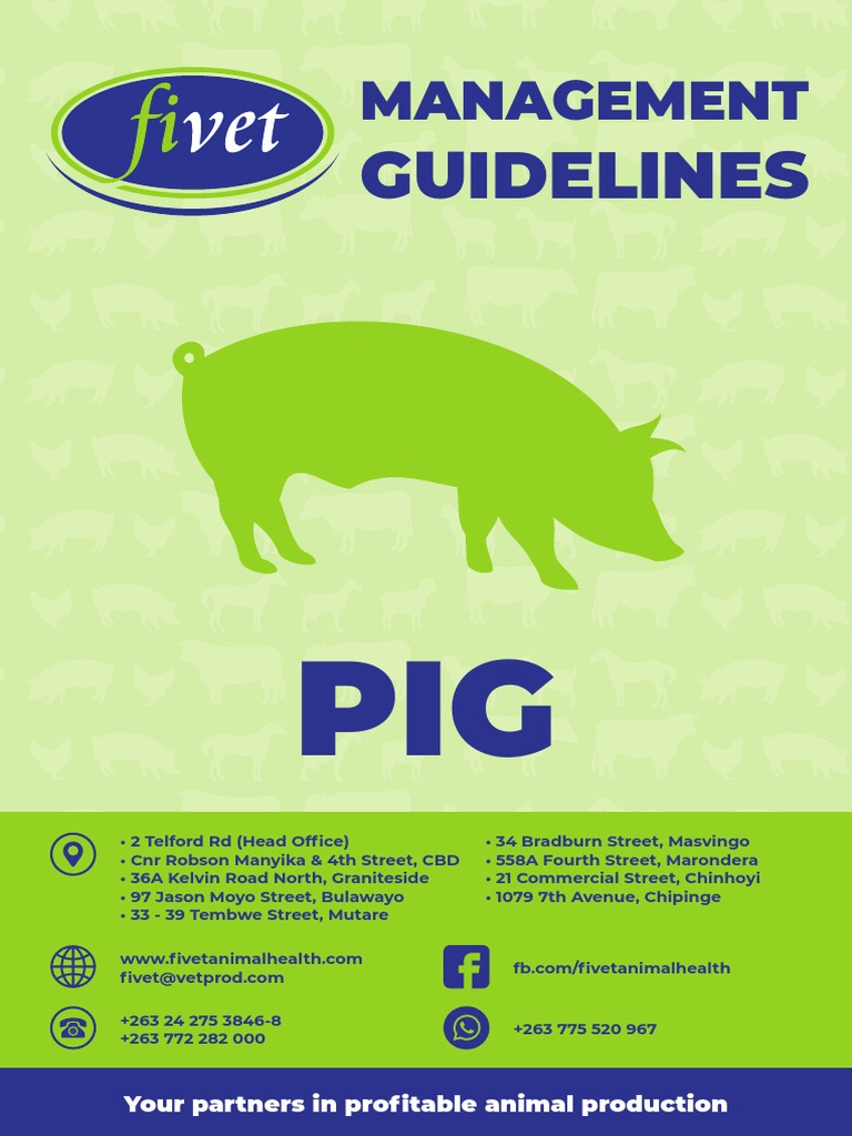 Pig Management and Feeding Guidelines | PDF | Pig | Weaning